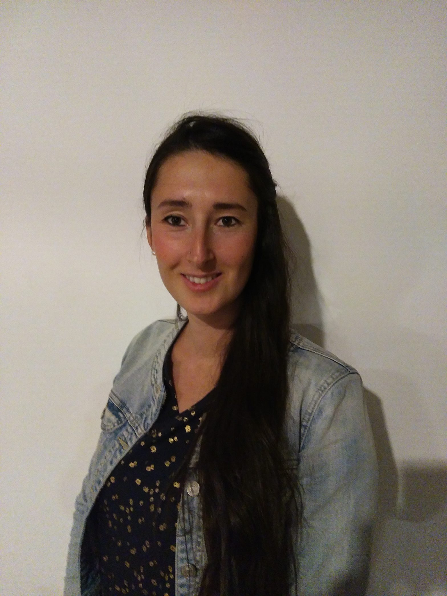 Conseil municipal – Magne86